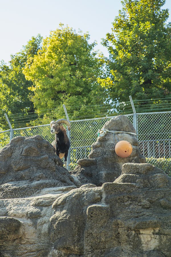 28 Best & Fun Things To Do In Dubuque, Iowa - Holidaydons.com