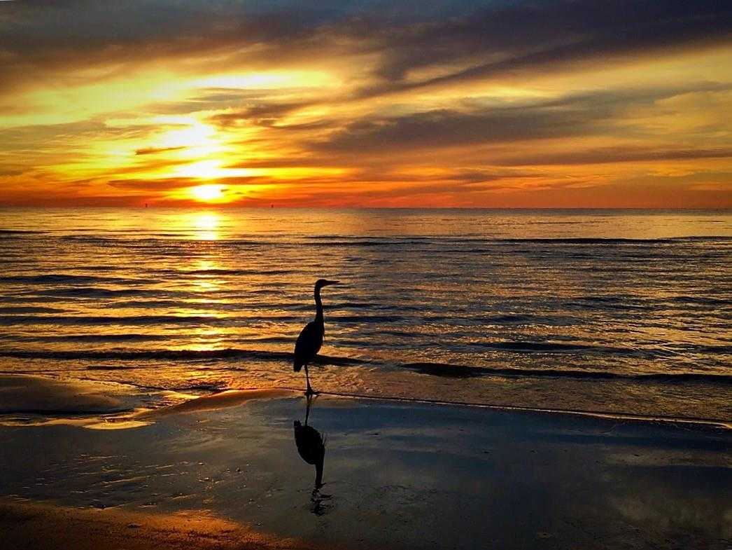 The 16 Top Best Beaches in Houston | Houston Beaches - Holidaydons.com